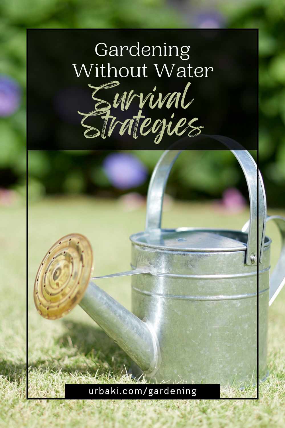 Gardening Without Water - Survival Strategies
