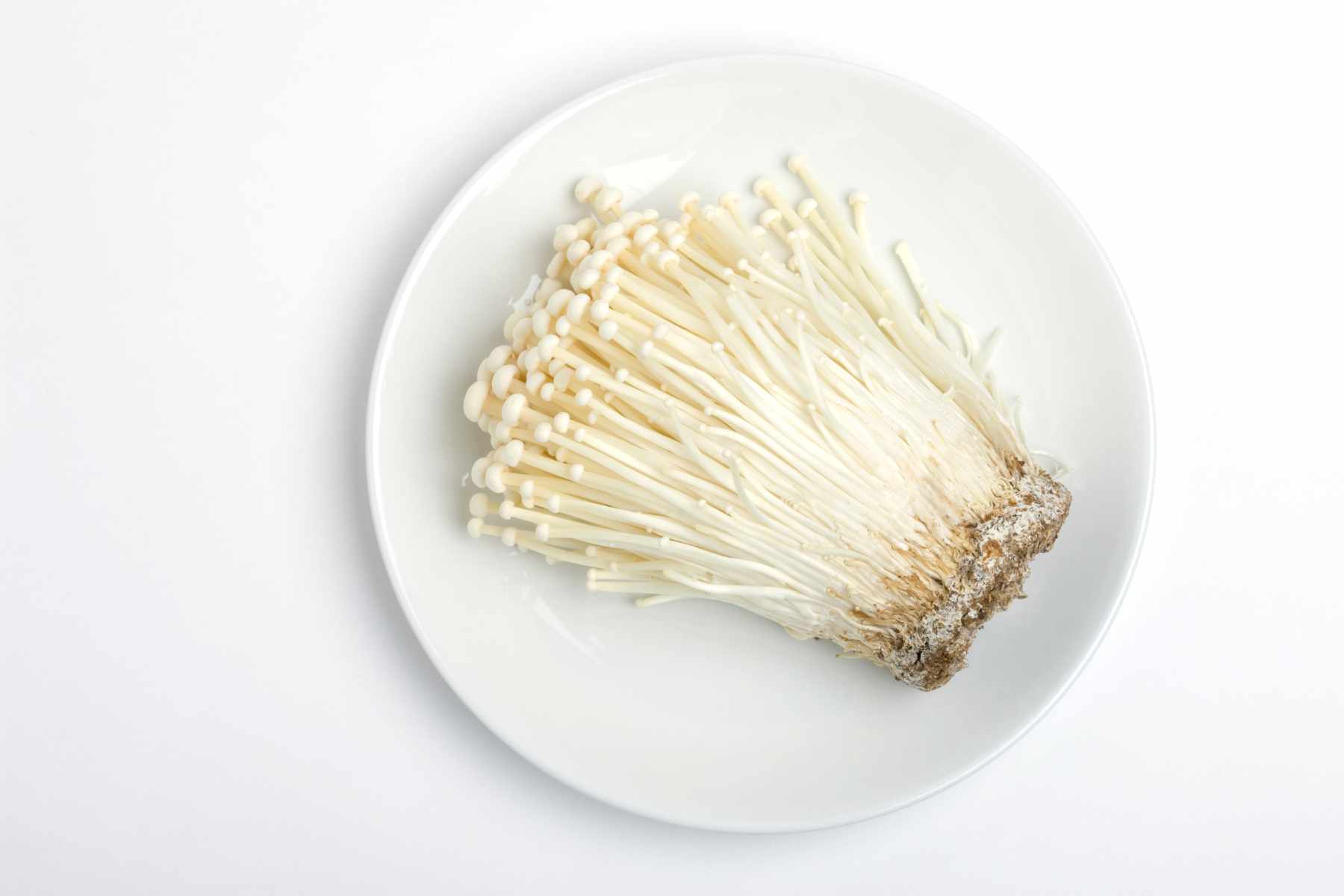 How to Start Growing Enoki Mushrooms Indoors with Ease