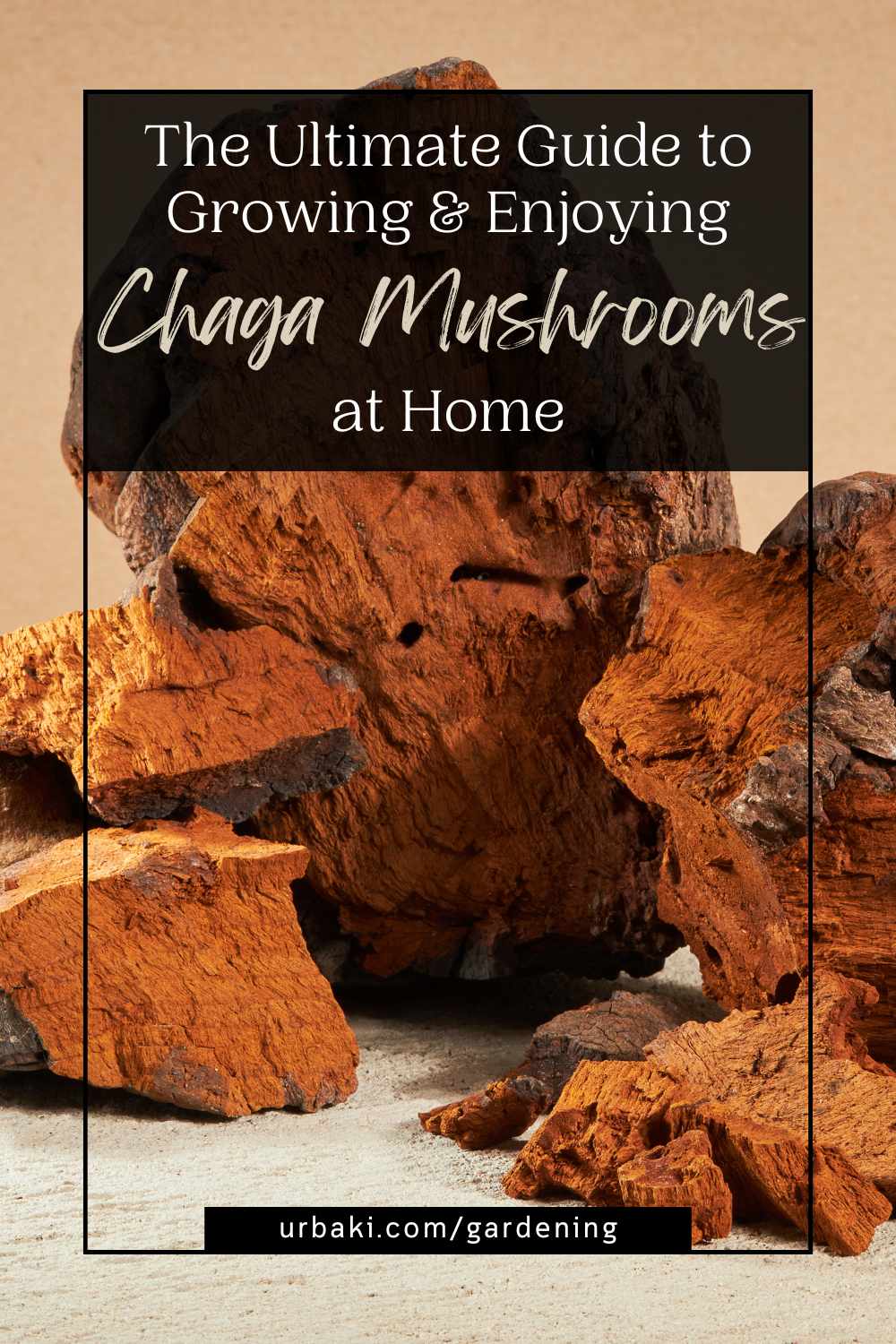 The Ultimate Guide to Growing and Enjoying Chaga Mushrooms at Home