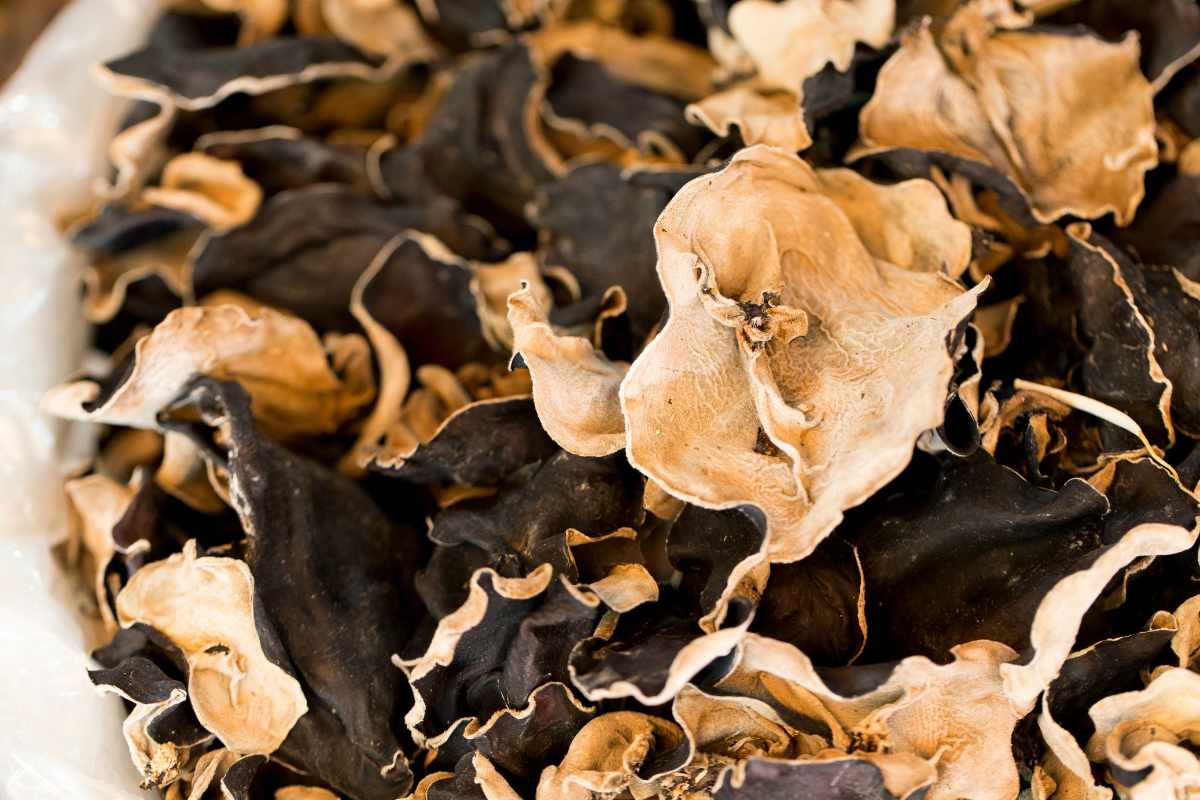 How to Cultivate the Unique & Delicious Wood Ear Mushroom (Auricularia ...