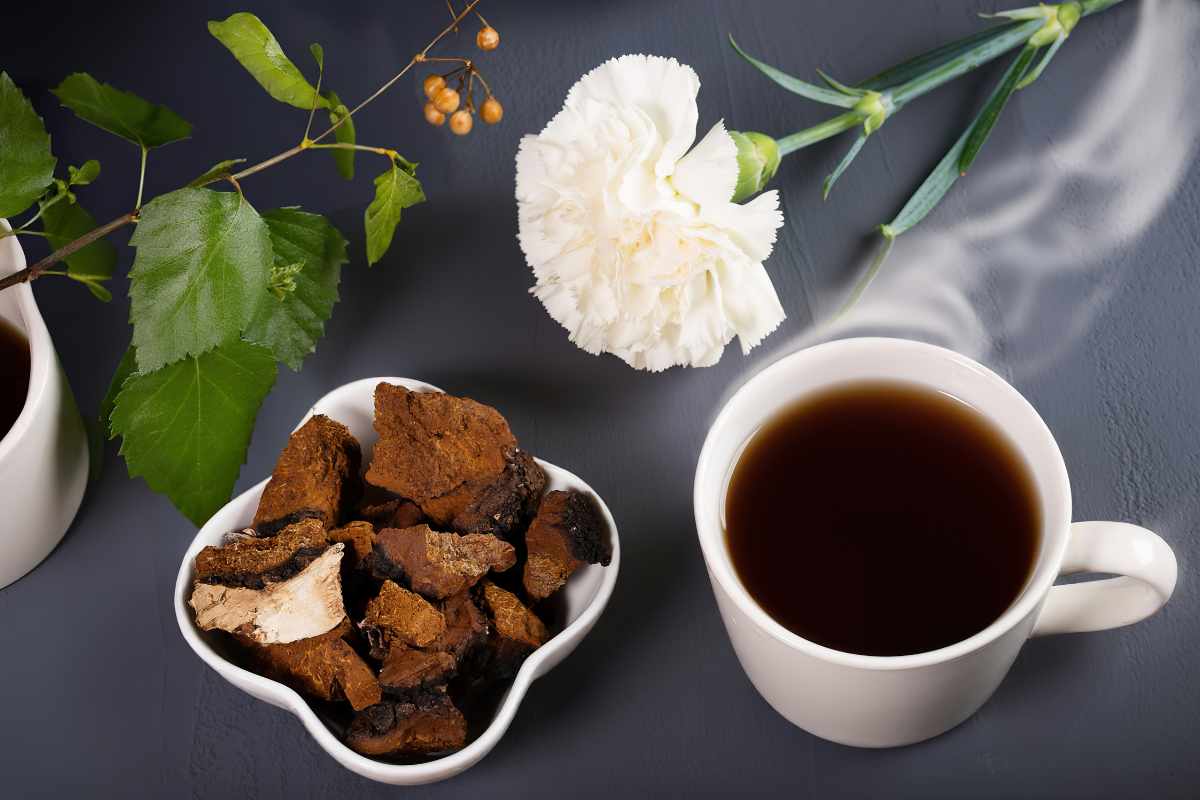 The Ultimate Guide to Growing and Enjoying Chaga Mushrooms at Home