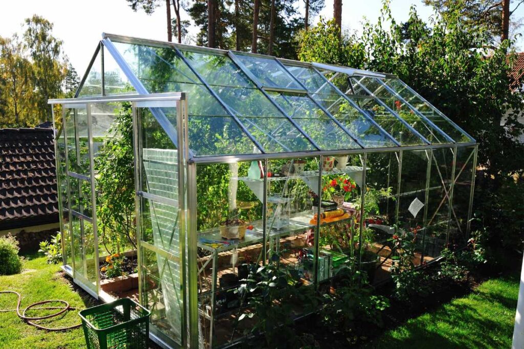 Growing In A Greenhouse Tips: Maximize Space