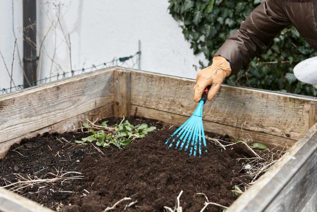 7 Mistakes That Ruin Your Raised Flower Beds (and How to Fix Them)