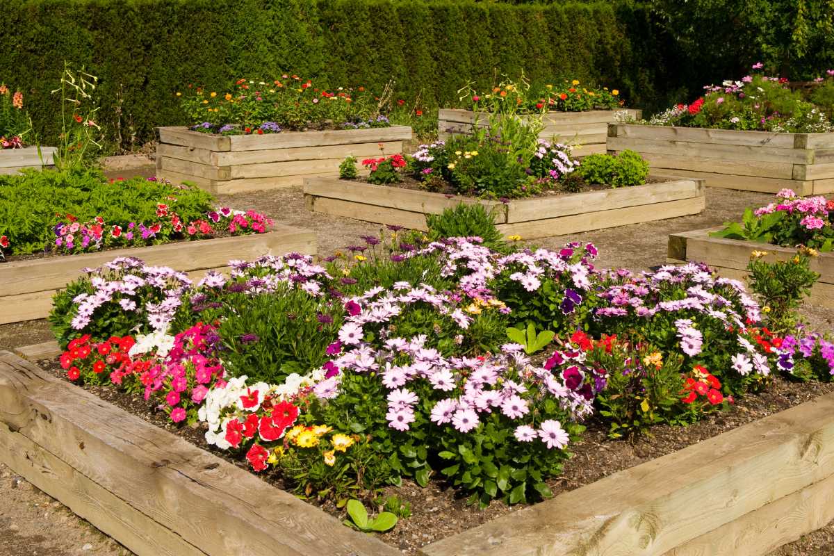 7 Mistakes That Ruin Your Raised Flower Beds (and How to Fix Them)