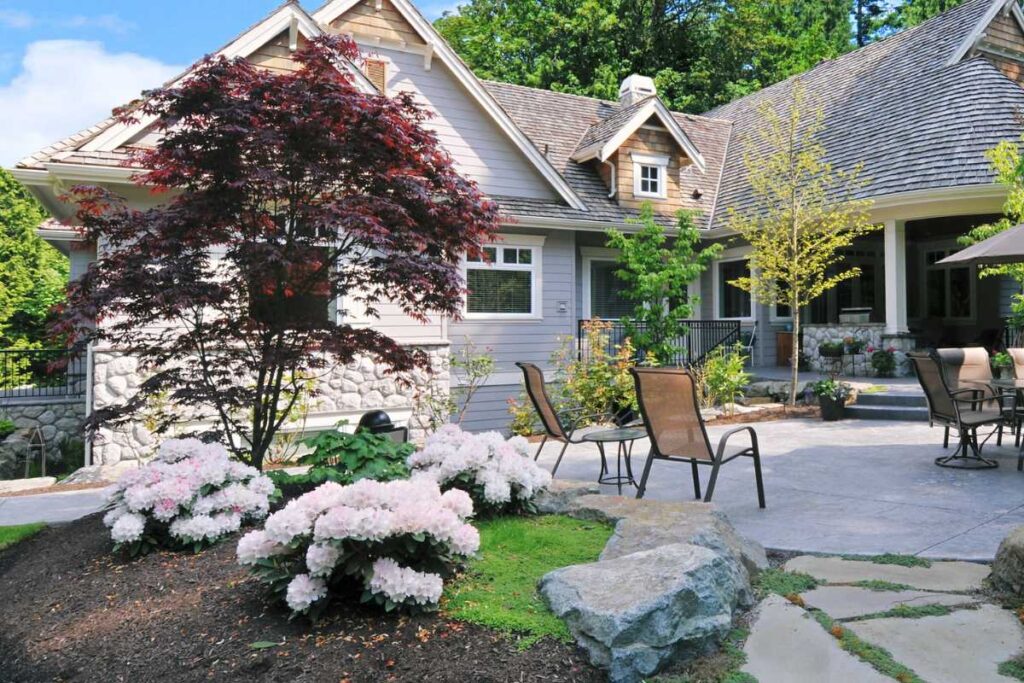 Landscaping Around Trees: Smart, Safe Ideas