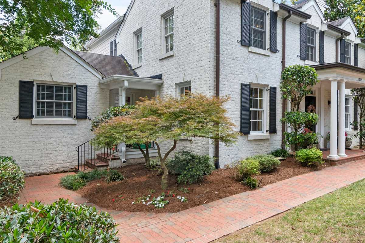 Landscaping Around Trees: Smart, Safe Ideas