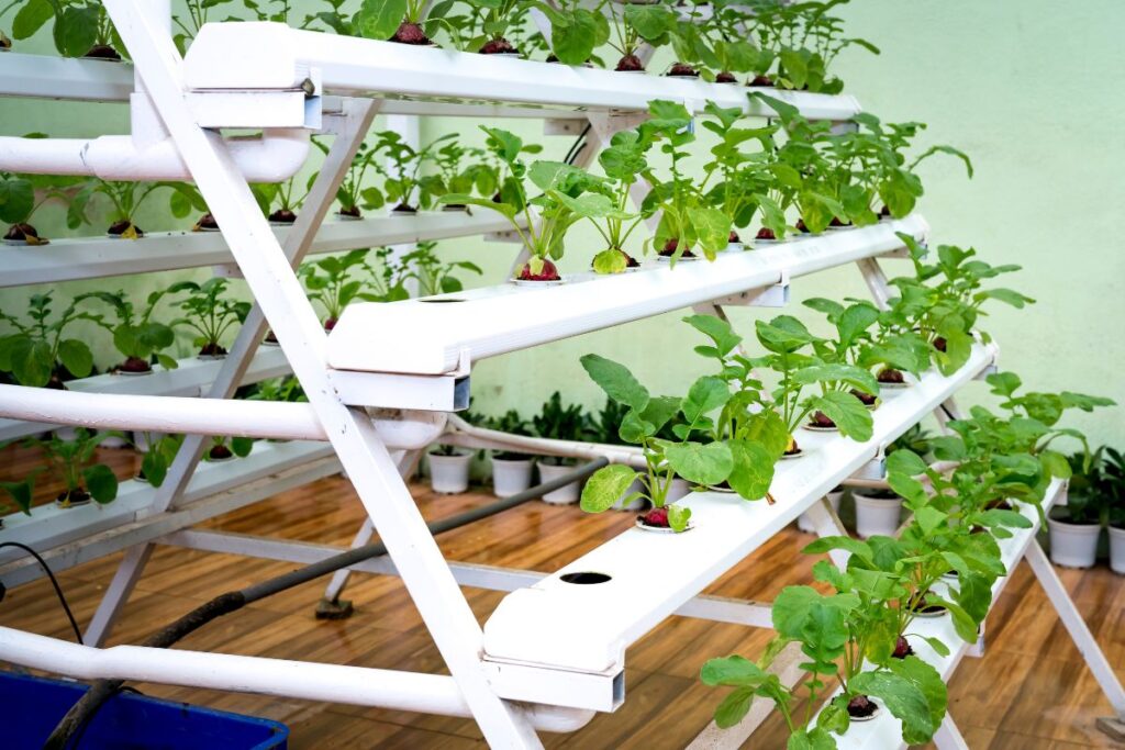 5 Hydroponic Gardening Tips (With Useful Links)