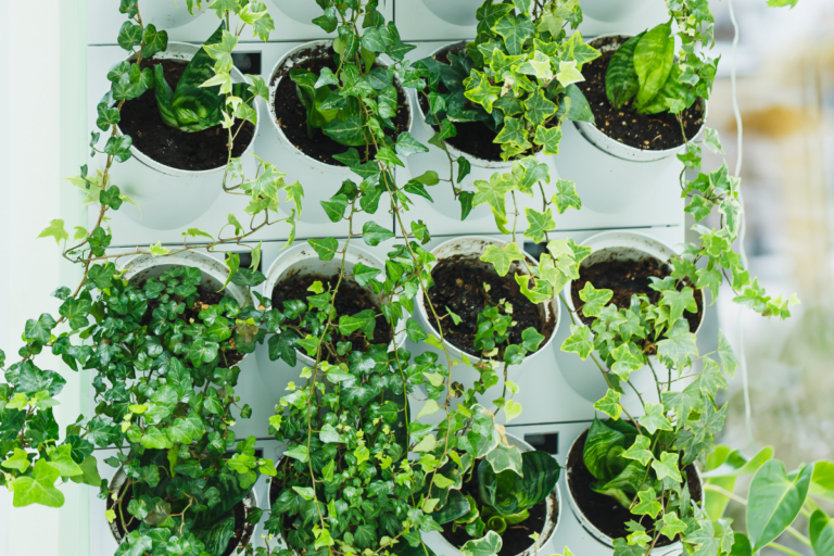 5 Link-Smart Tips For Vertical Gardening