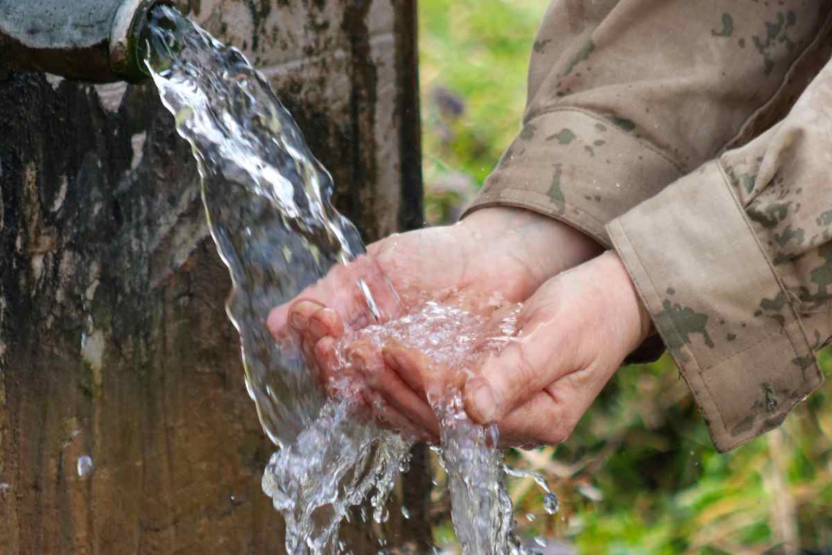 5 Permaculture Water-Saving Ideas to Catch & Slow Water