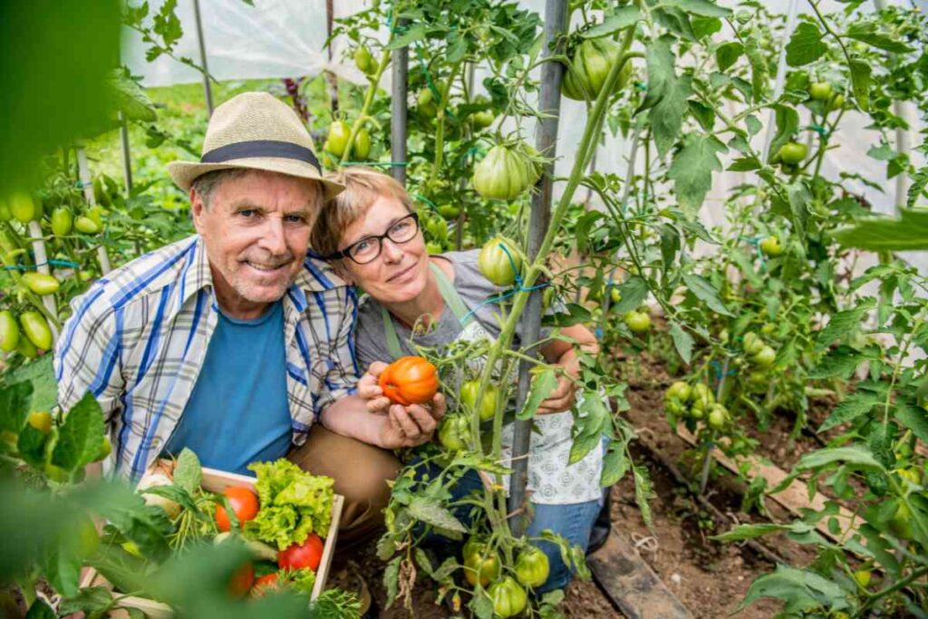 7 Low-Maintenance Vegetable Garden Ideas for Busy People