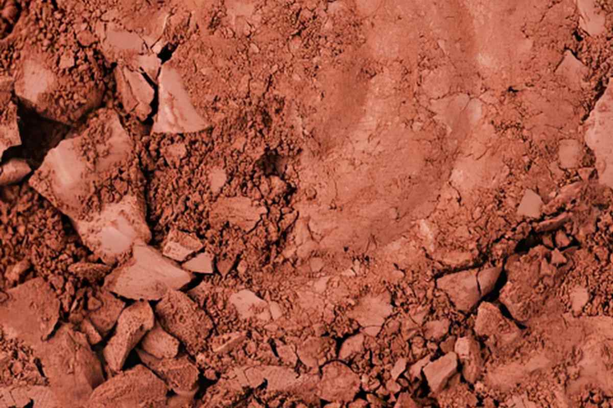 How to Improve Clay Soil Without Digging It Up