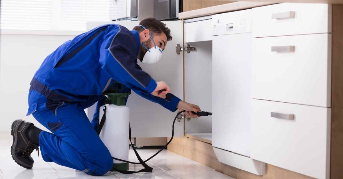 Why Do You Need Pest Control?