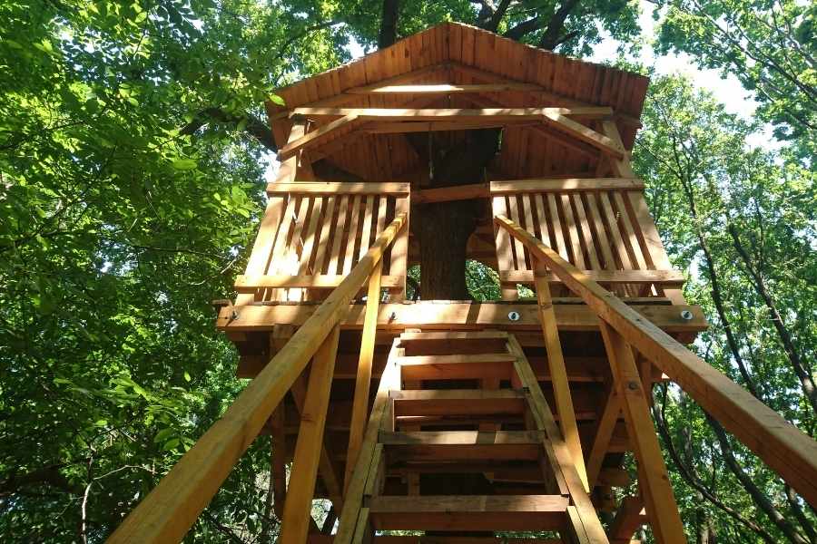 How to Build a Treehouse