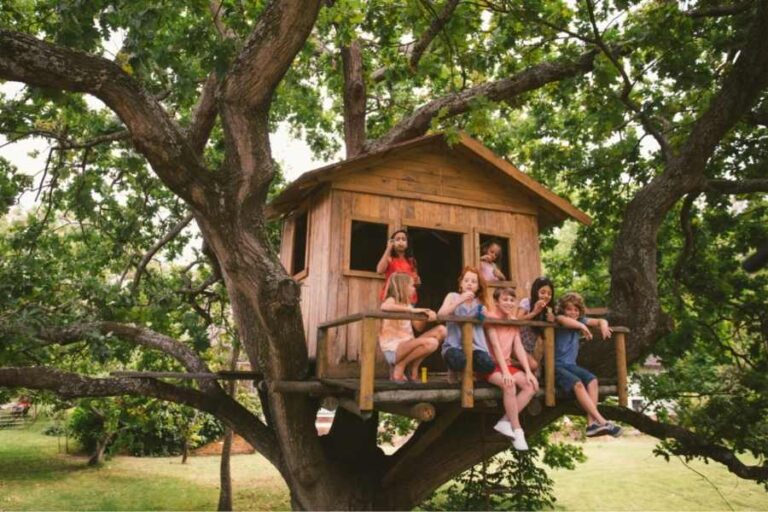 How to Build a Treehouse