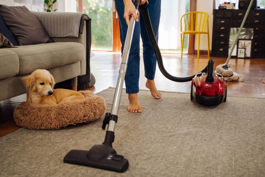 Bad Cleaning Habits You Need to Break