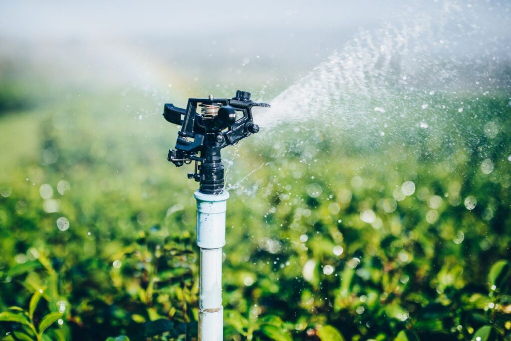 Let’s Talk About Smart Sprinklers