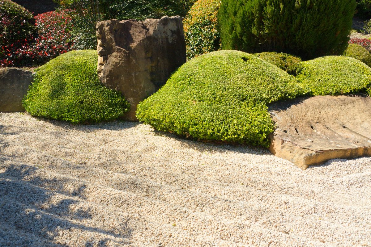 What You Should Know To Create A Zen Garden