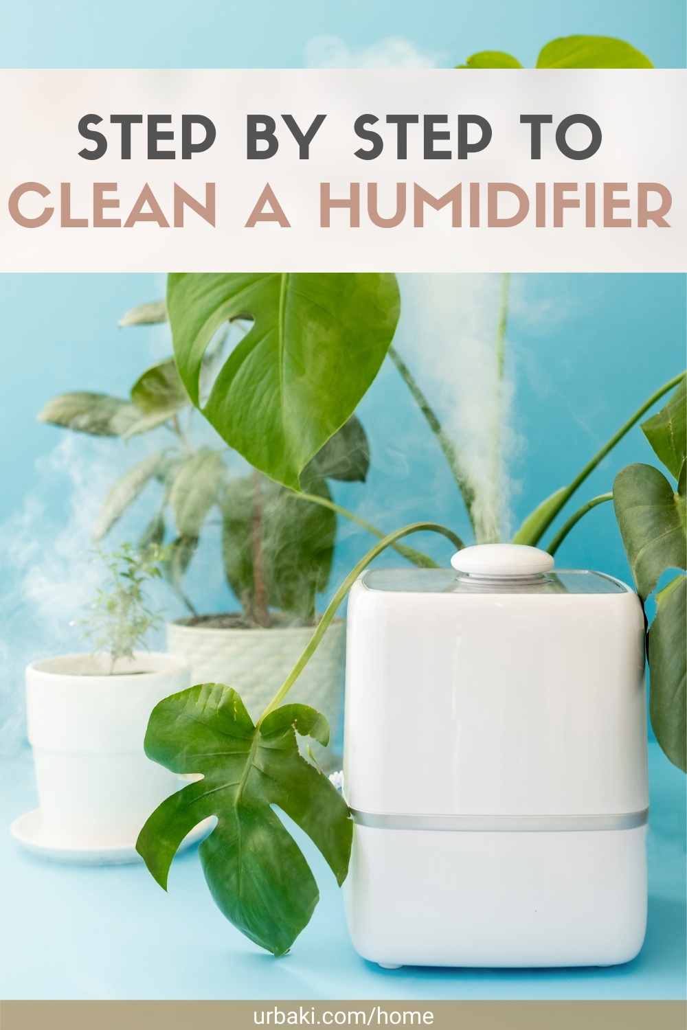 Step By Step To Clean A Humidifier