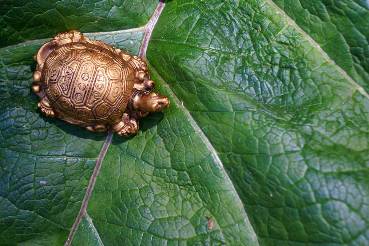The Meaning of the Feng Shui Turtle