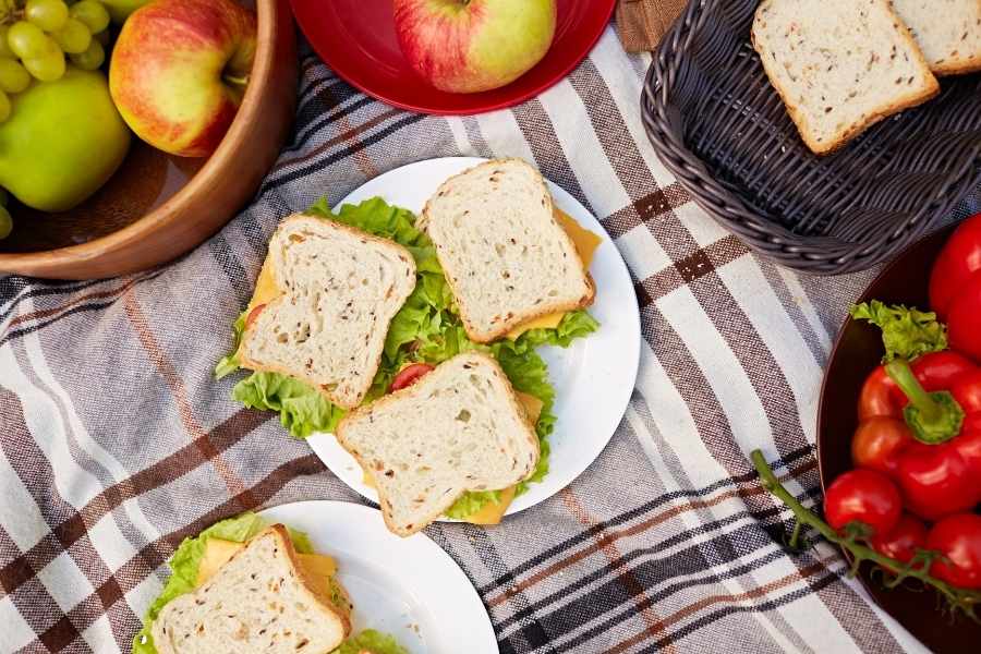 Secrets for Keeping Cold Food Fresh All Day Long in Outdoors