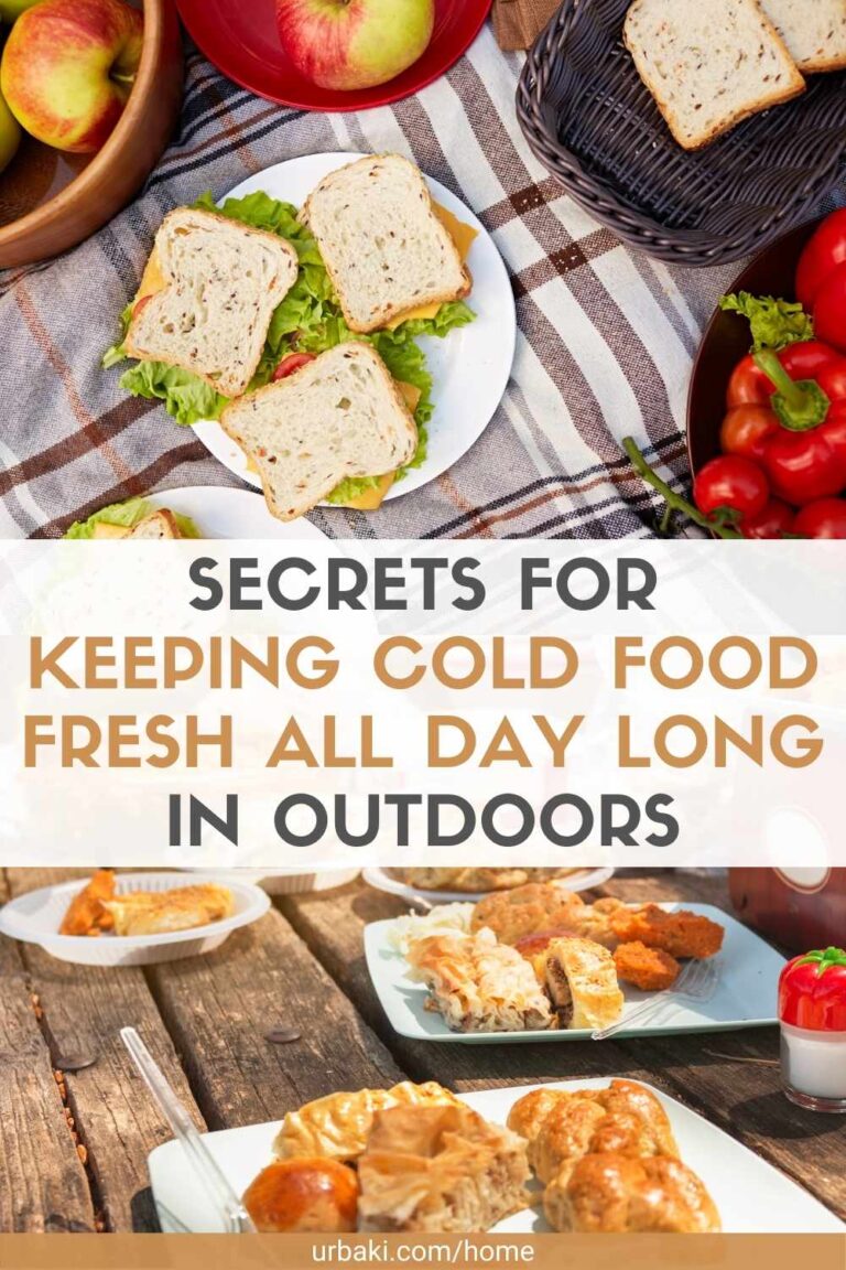 Secrets for Keeping Cold Food Fresh All Day Long in Outdoors