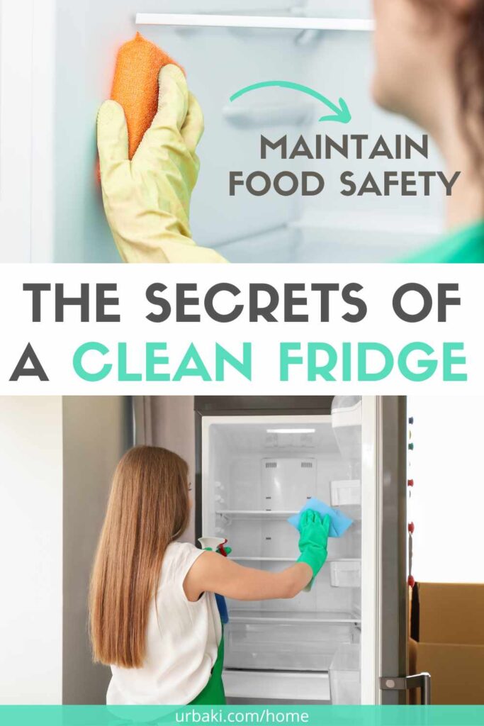 Maintain Food Safety - The Secrets of a Clean Fridge