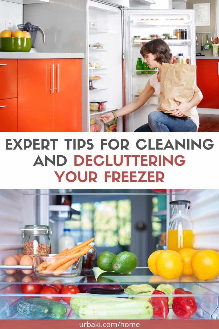 Expert Tips for Cleaning and Decluttering Your Freezer