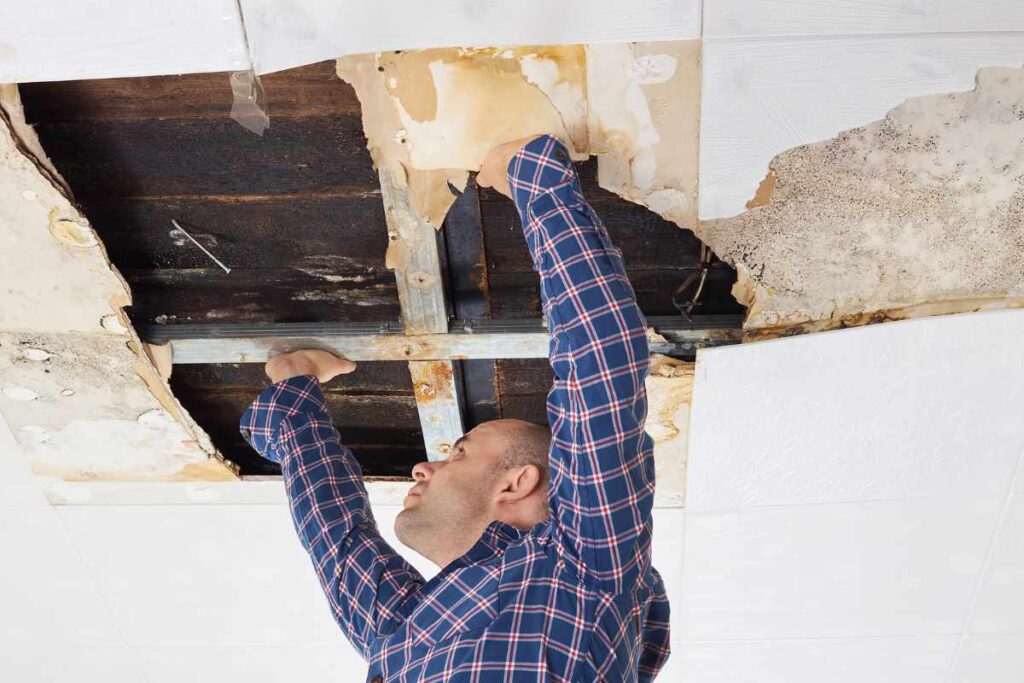 Step-by-Step: How to Stop Water Leaks and Repair Drywall Ceilings