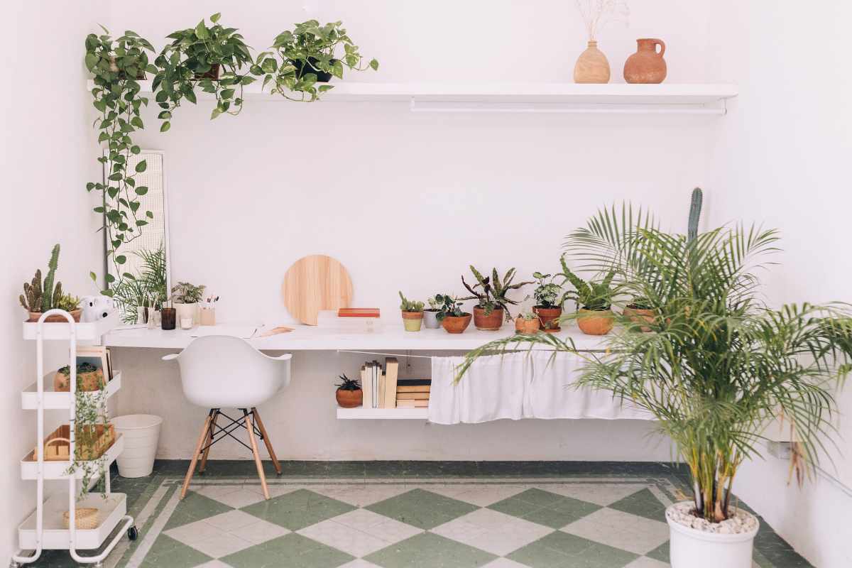 Green Solutions: How to Style House Plants in Small Spaces