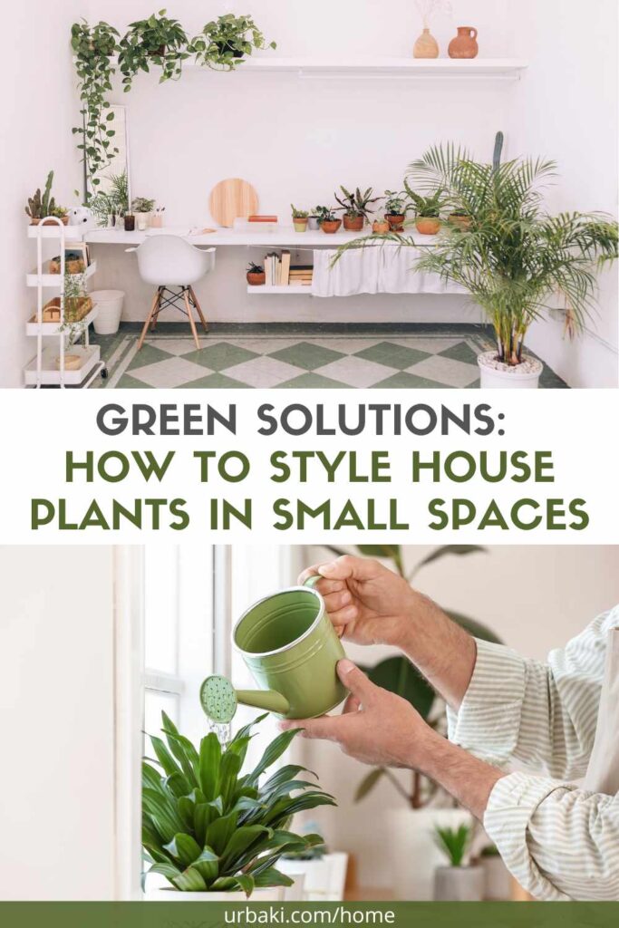 Green Solutions: How to Style House Plants in Small Spaces