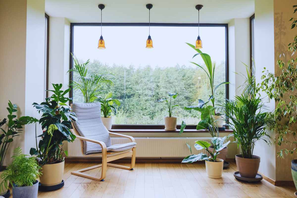 Transform Your Space with Biophilic Design: Embrace Nature Indoors