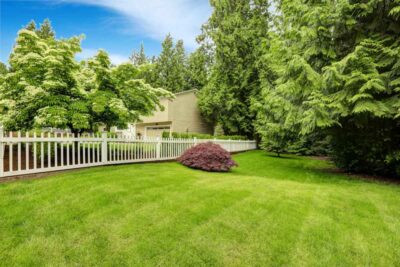 Pet-Friendly Front Yard Landscaping Ideas