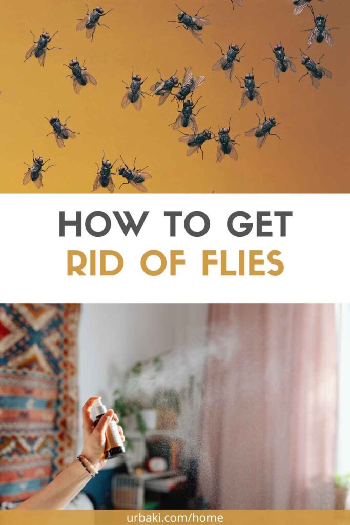 How to Get Rid of Flies