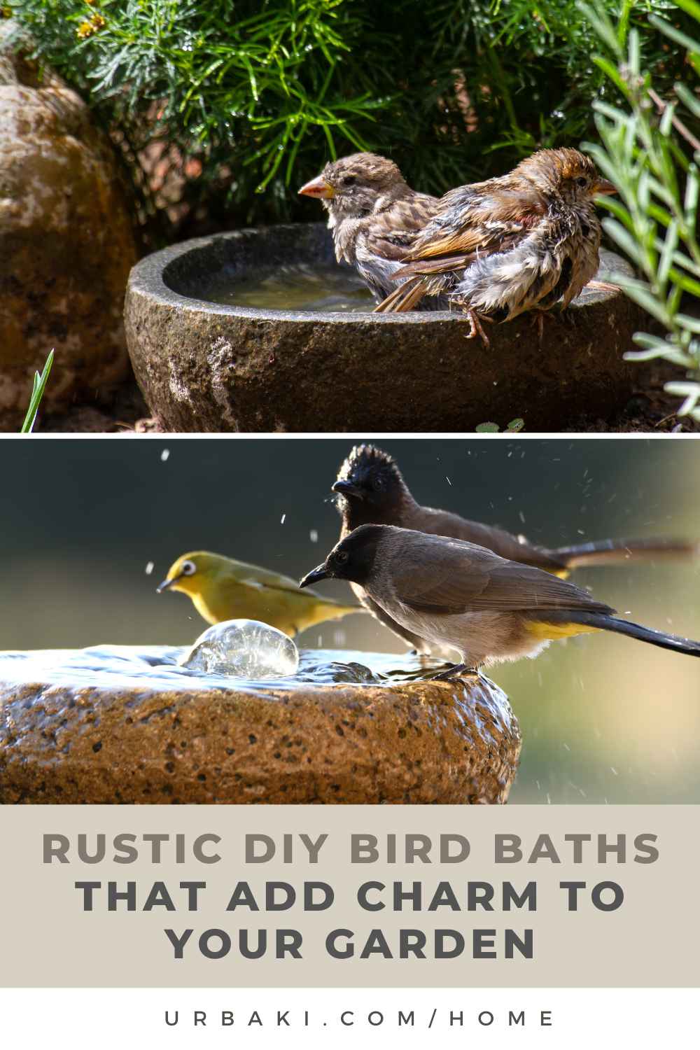 Rustic DIY Bird Baths That Add Charm to Your Garden