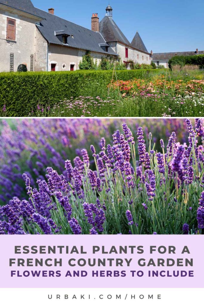 Essential Plants for a French Country Garden: Flowers and Herbs to Include