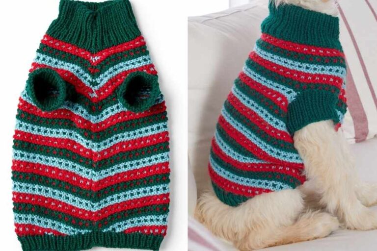 Learn to Knit a Cute Dog Sweater