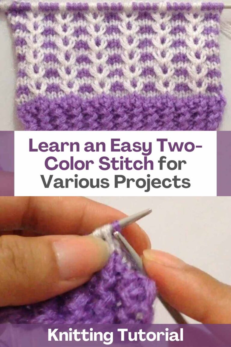 Learn an Easy Two-Color Stitch for Various Projects