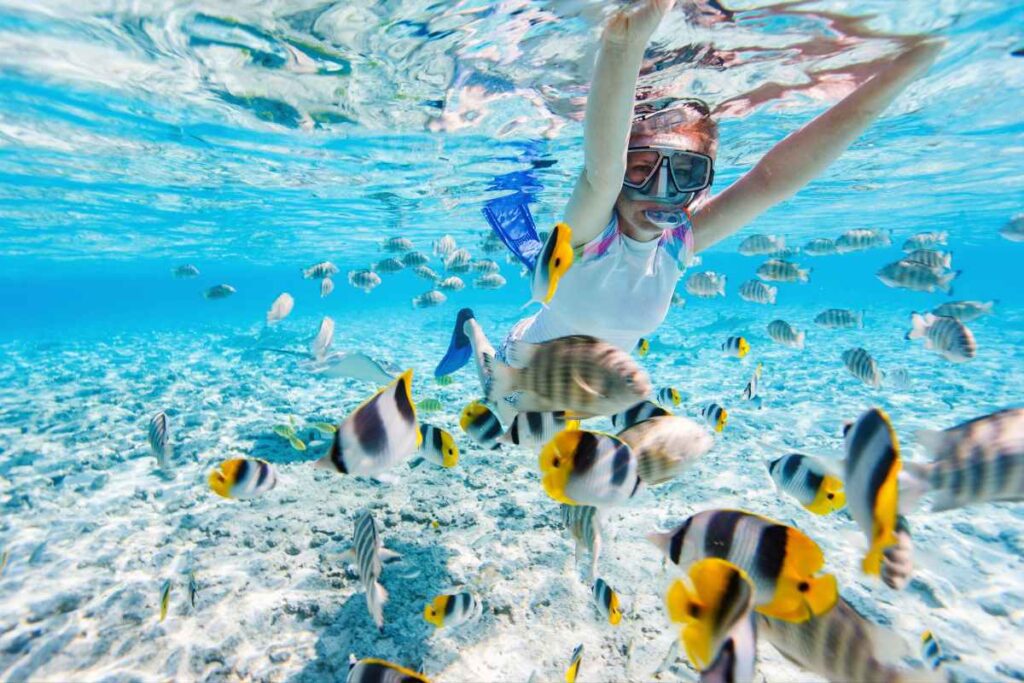 Why Snorkeling Is the Best Way to Explore Marine Life - Urbaki Outdoor