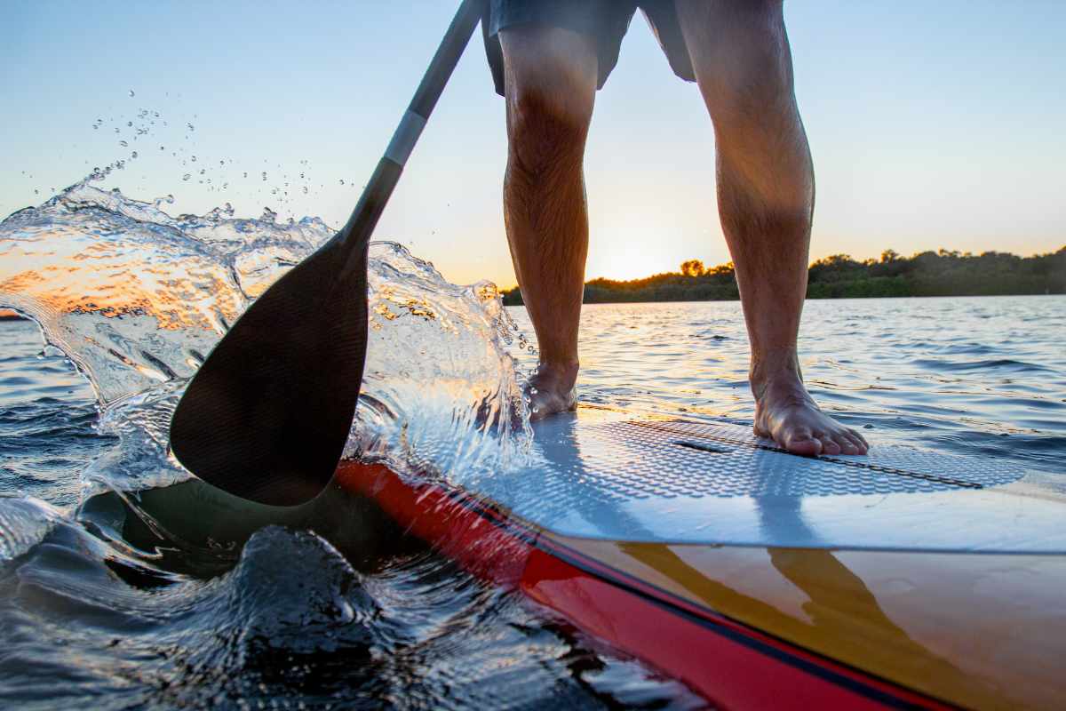 Your Essential Guide: Must-Have Gear for Water Sports Enthusiasts ...