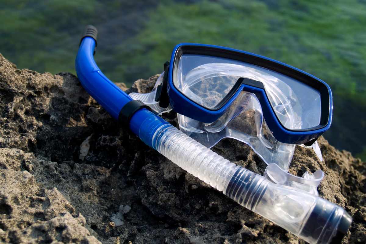 Your Essential Guide: Must-Have Gear for Water Sports Enthusiasts ...
