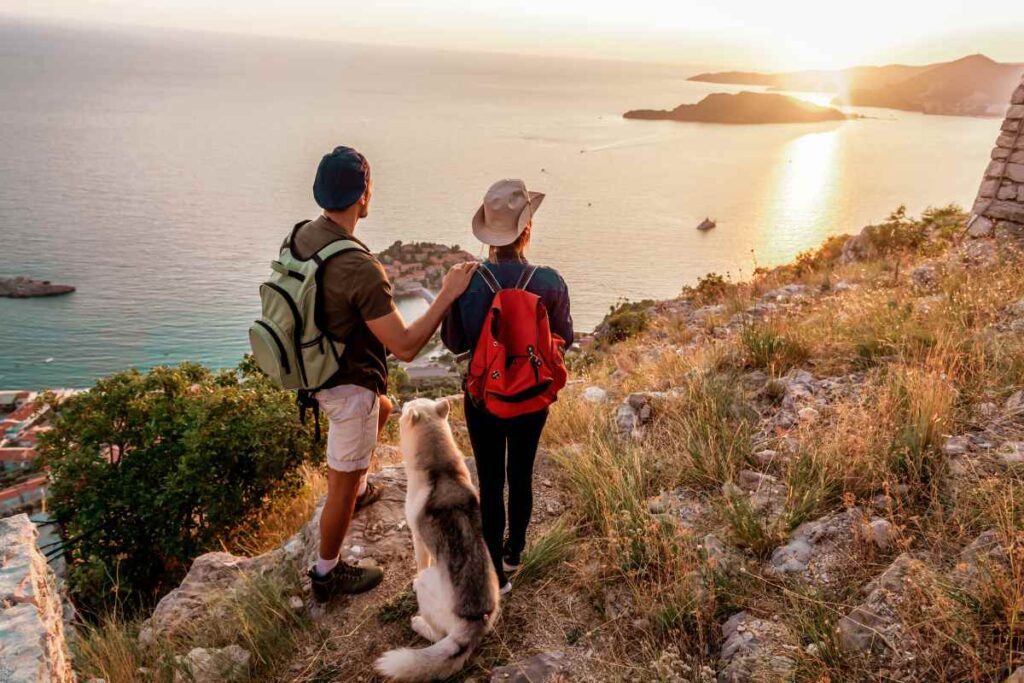 The 7 Best Dog-Friendly Hiking Trails - Urbaki Outdoor