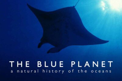 The Best Wildlife Documentaries to Watch - Urbaki Outdoor