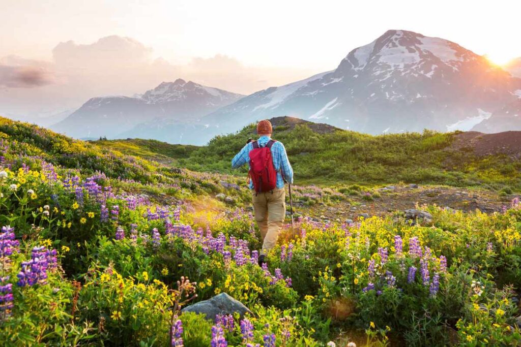 How to Plan a Day Hike: A Guide for Beginners - Urbaki Outdoor