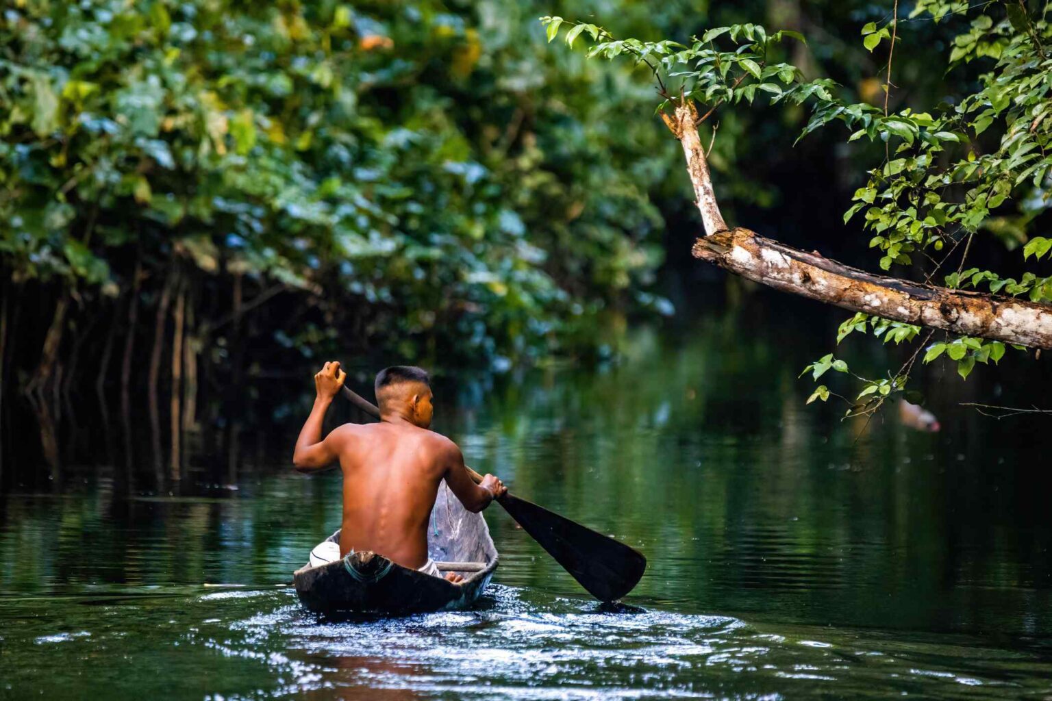 The Role of Indigenous Knowledge in Wildlife Conservation - Urbaki Outdoor