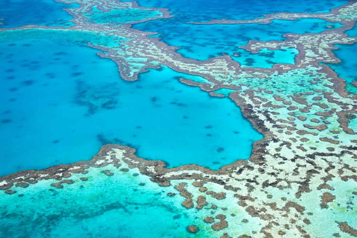 The Most Beautiful Coral Reefs to Snorkel - Urbaki Outdoor