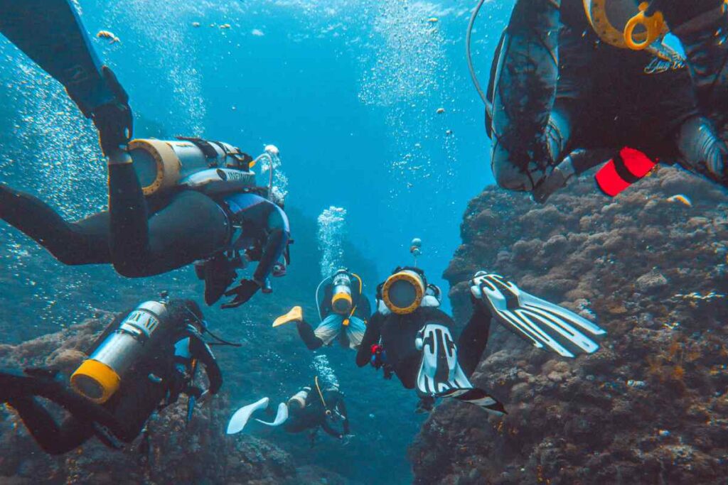 Is Scuba Diving the Best Way to Experience the Ocean? - Urbaki Outdoor