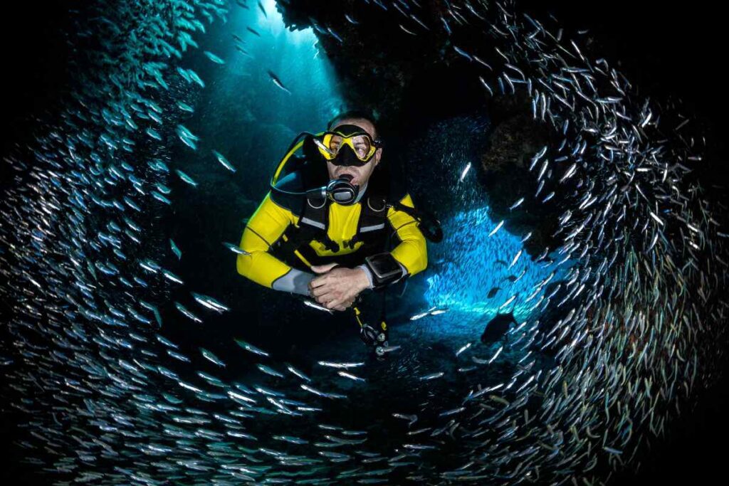 Is Scuba Diving the Best Way to Experience the Ocean? - Urbaki Outdoor