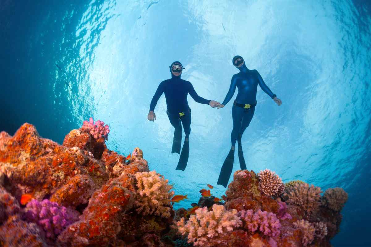 Is Scuba Diving the Best Way to Experience the Ocean? - Urbaki Outdoor