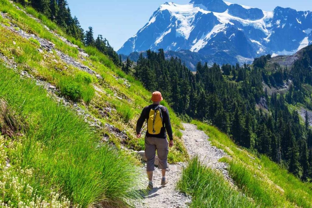The Benefits of Hiking Meditation: A Path to Mindfulness and Wellness ...