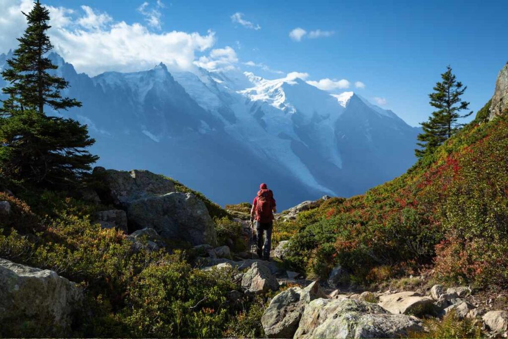 The Benefits of Hiking Meditation: A Path to Mindfulness and Wellness ...